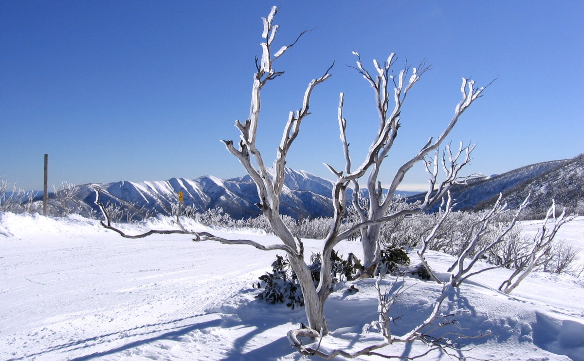 5 reasons you should visit the Aussie snow fields this year ...